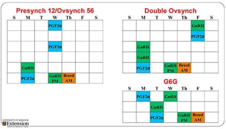 Webinar details latest in reproduction technologies