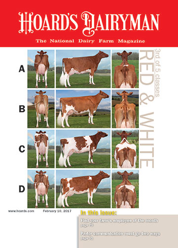 Judging Contest Classes and Results