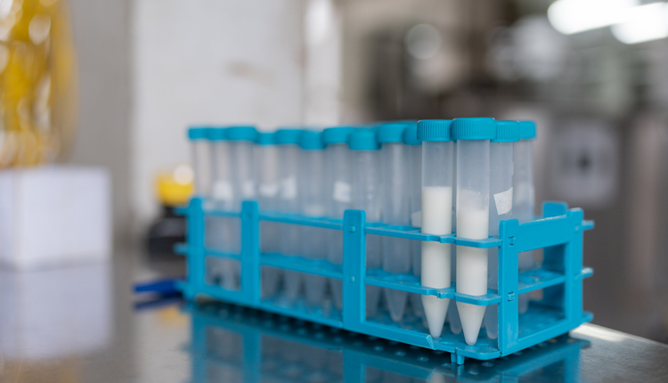 Set cows up for colostrum success